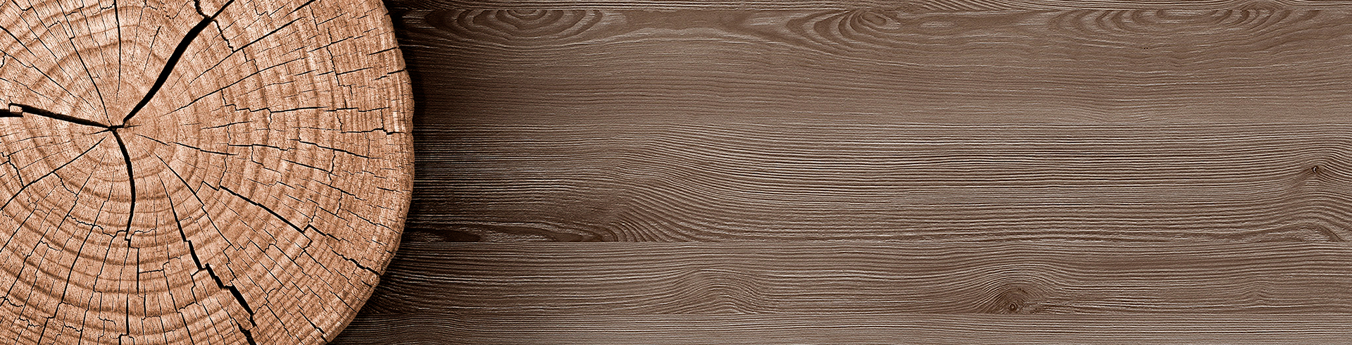 SYNCRON COLLECTION | Lioher