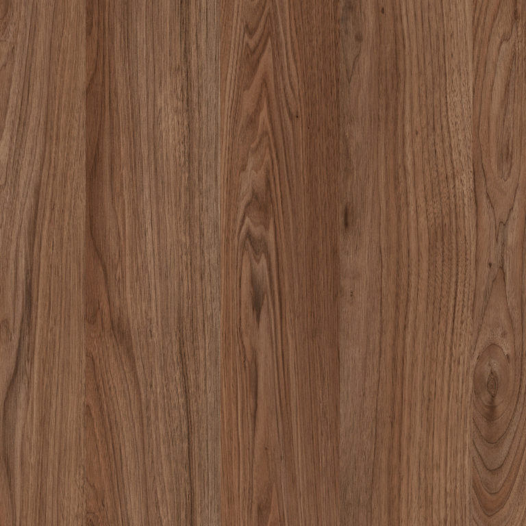 HIGH GLOSS - Lioher